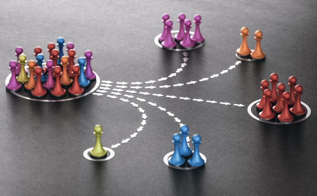 The Power of Client or Member Segmentation - PMG Intelligence